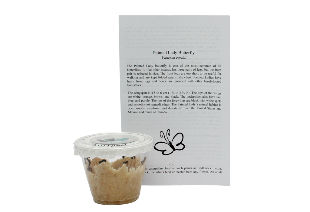 Butterfly Growing Kits - Clearwater Butterfly